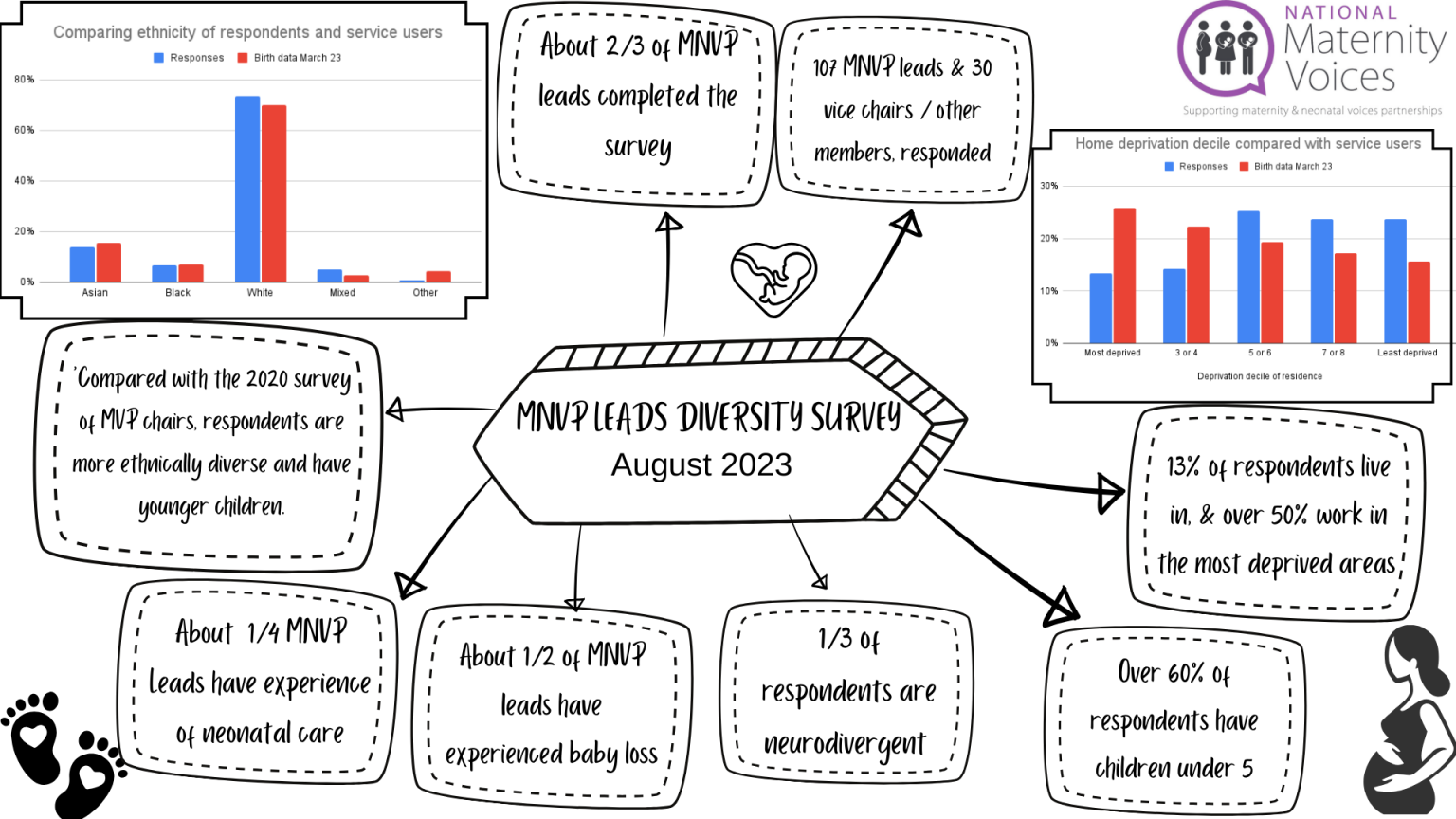 Demographic Survey of MNVP leaders – National Maternity Voices